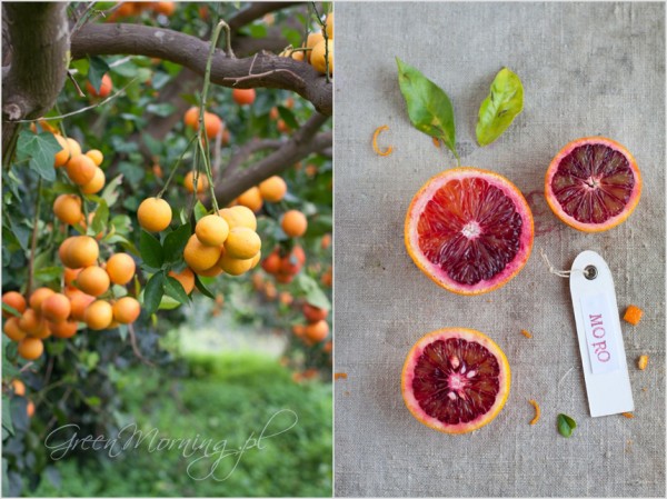 Odmiamy pomarańczy i gatunki cytrusów